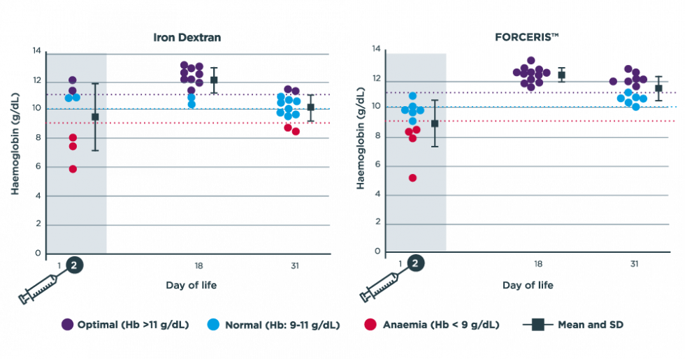Forceris | Bringing Piglets to a Higher Level