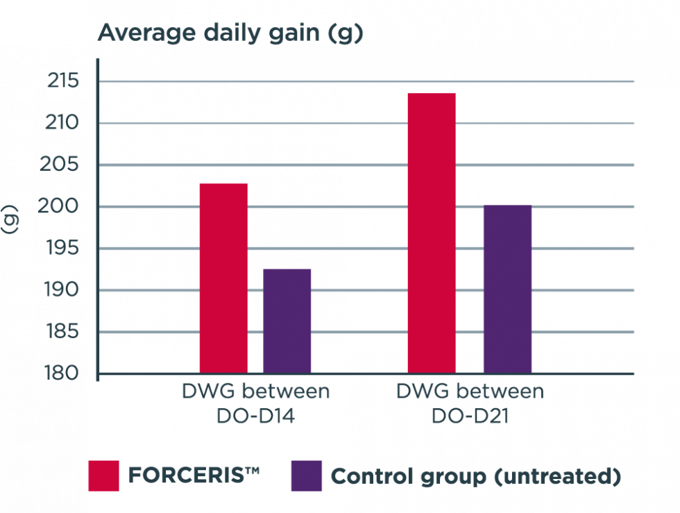 Forceris | Bringing Piglets to a Higher Level