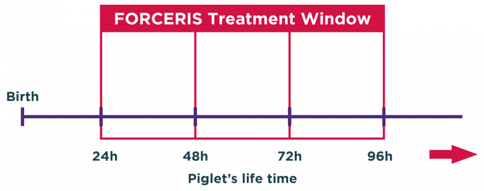 Forceris | Bringing Piglets to a Higher Level